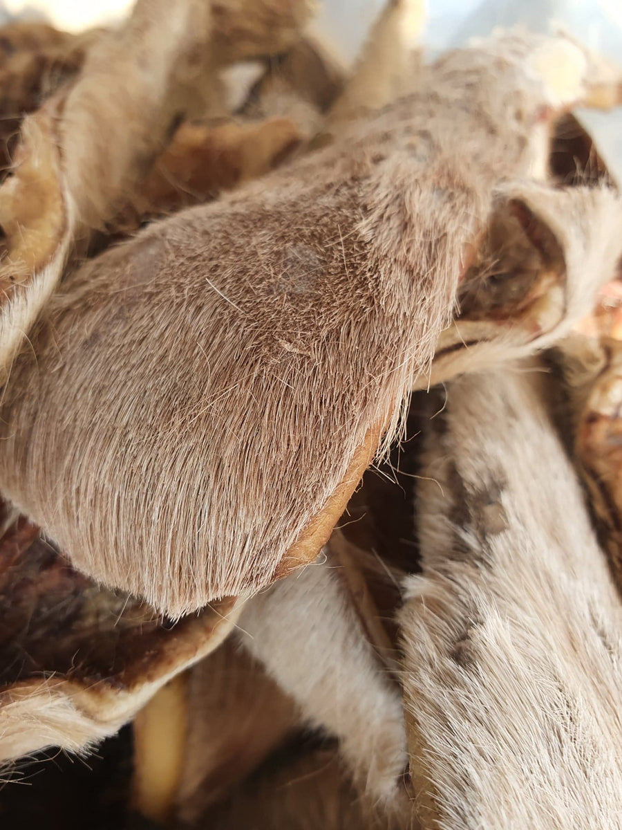 Beef Hide – Chew it over with canine candy