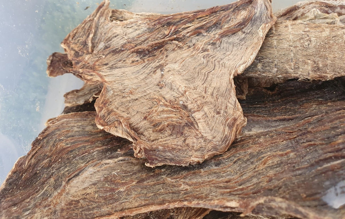 Goat Jerky – Chew it over with canine candy